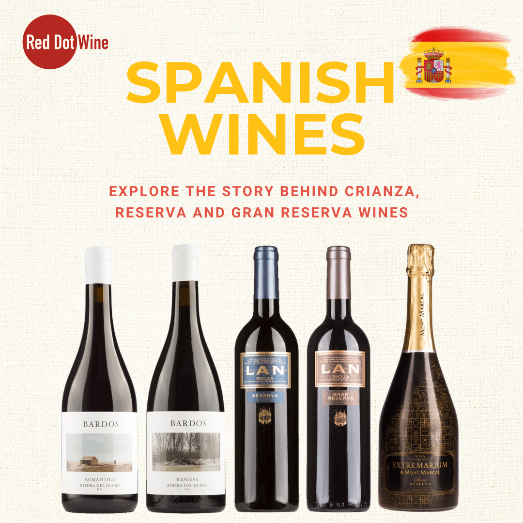 Discover the World of Spanish Wines